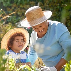 FCHP - Caregiver Connection